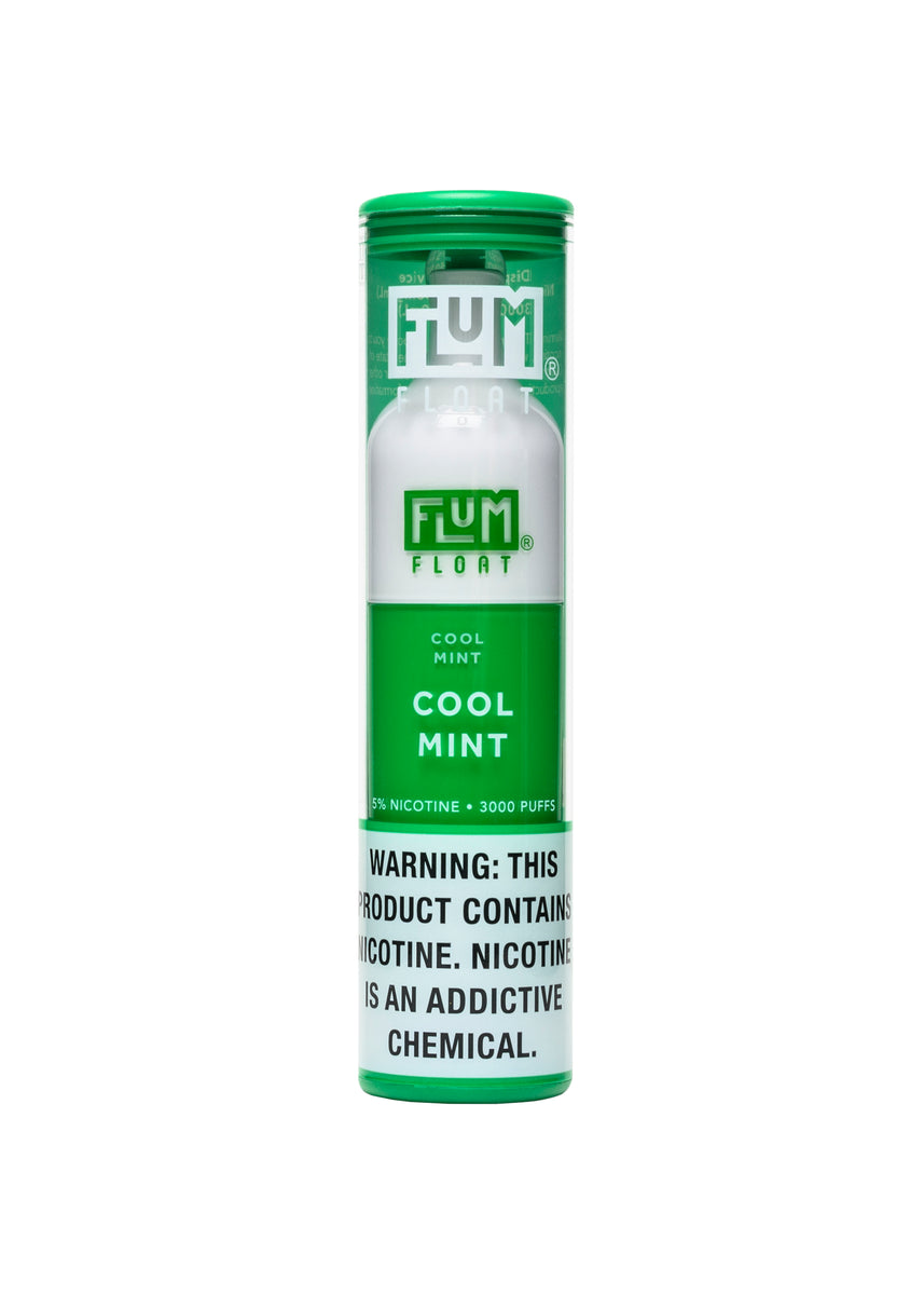 Flum Float 3000 Cool Mint | GetPop