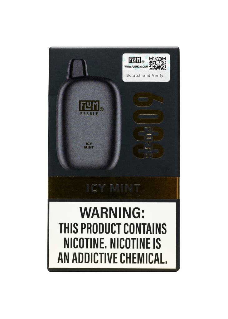 Flum Pebble 6000 Icy Mint | GetPop